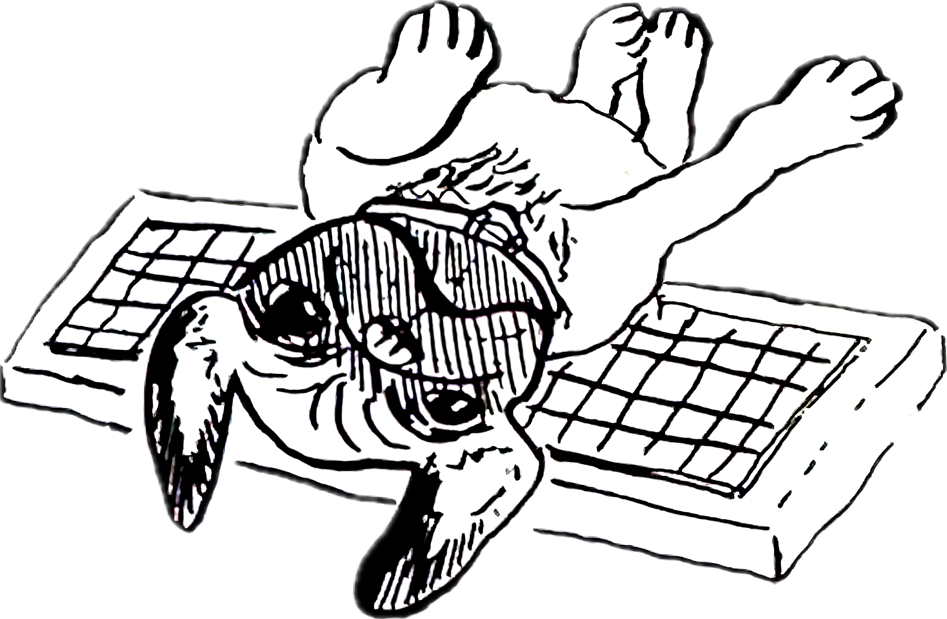 WPI Interactive Map | WPI Campus Map | Worcester, MA